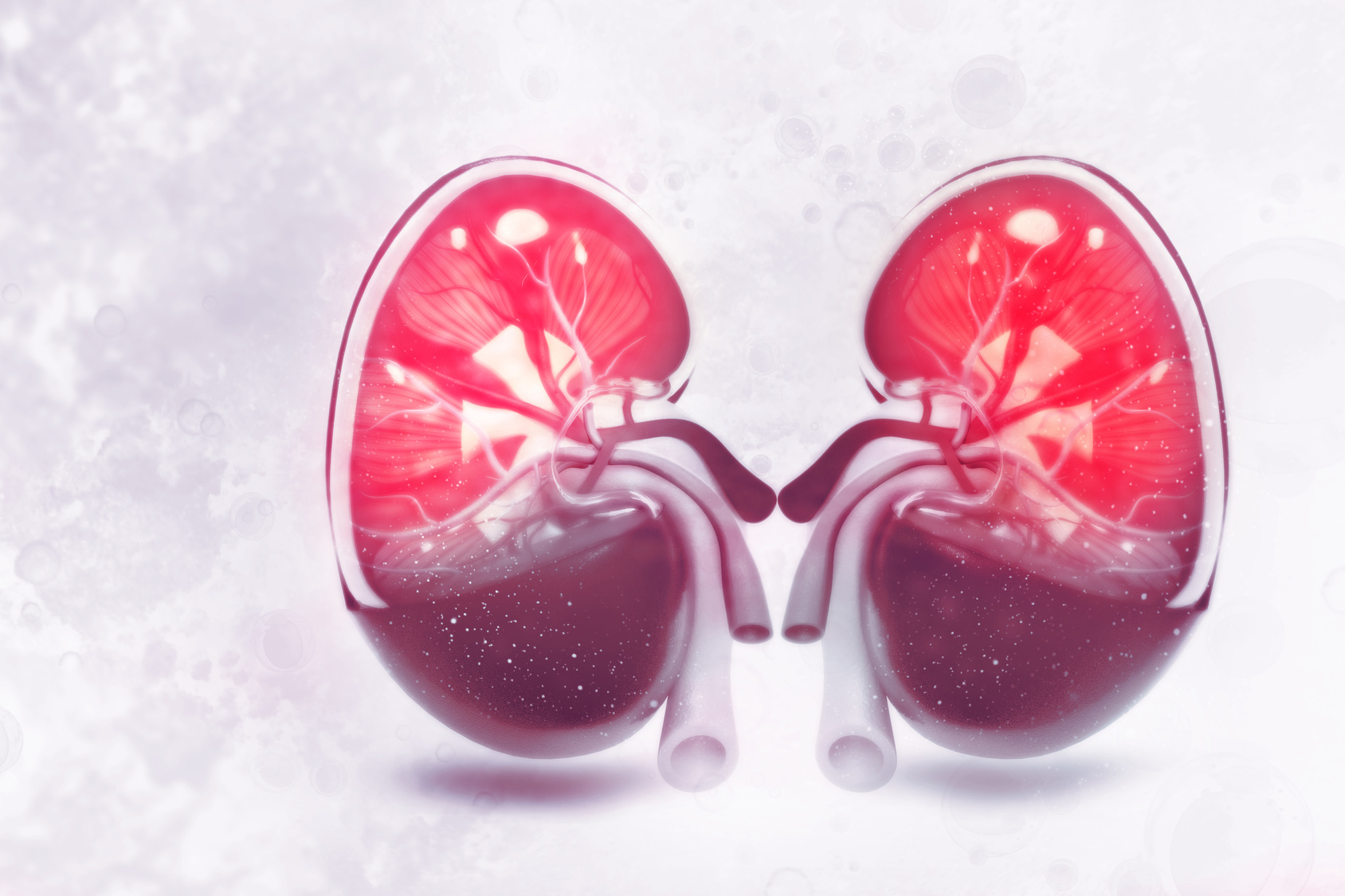 Jak odżywiać się w przewlekłej chorobie nerek? – Nasz Senior