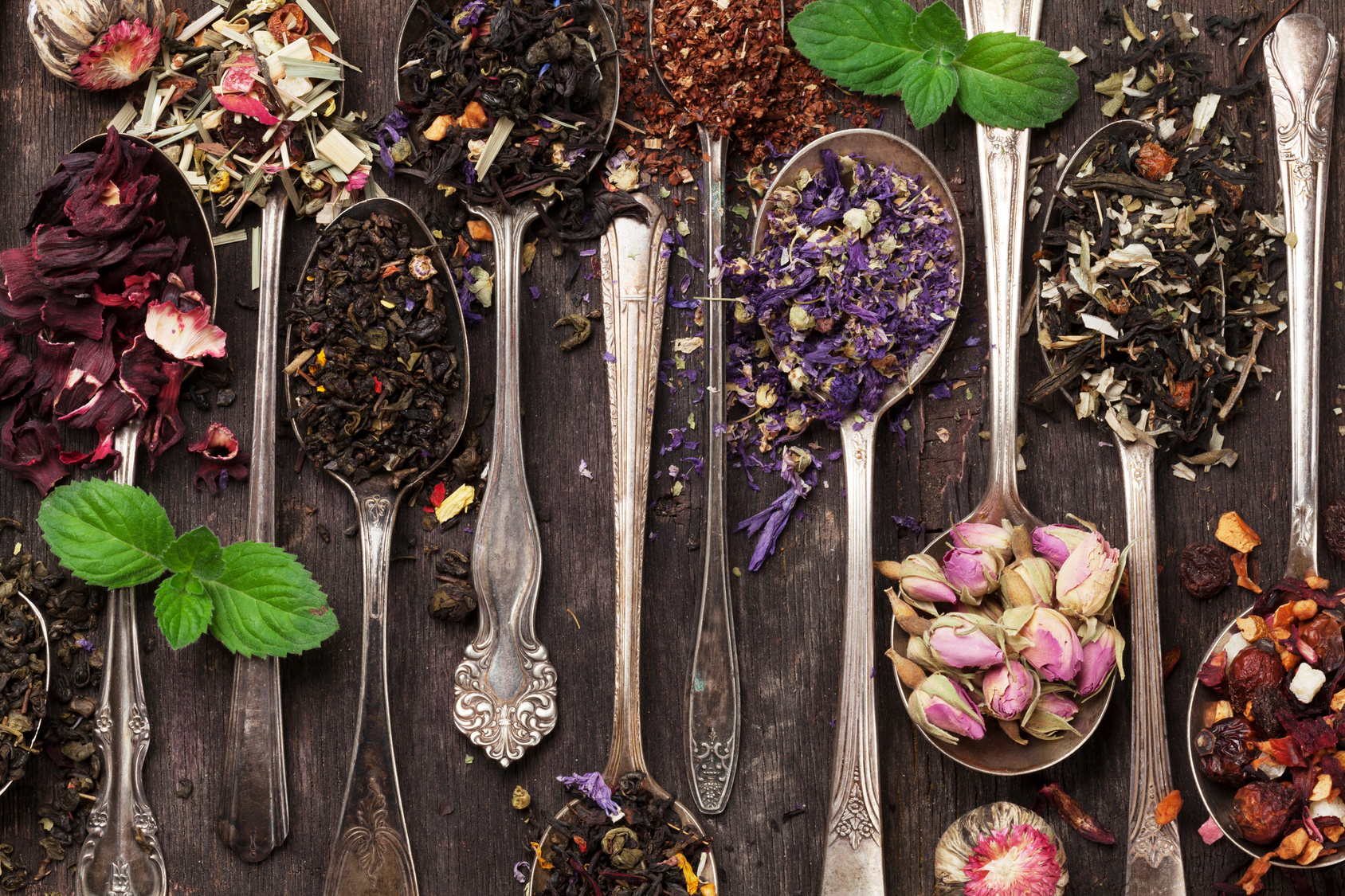 Rodzaje i właściwości herbaty – Nasz Senior